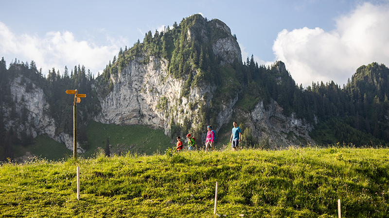Magic Pass - Bergbahnen - Charmey